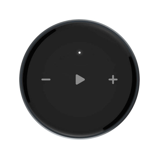 Wiim Mini: Best Affordable WiFi Music Streamer – Gohomeaudio.com